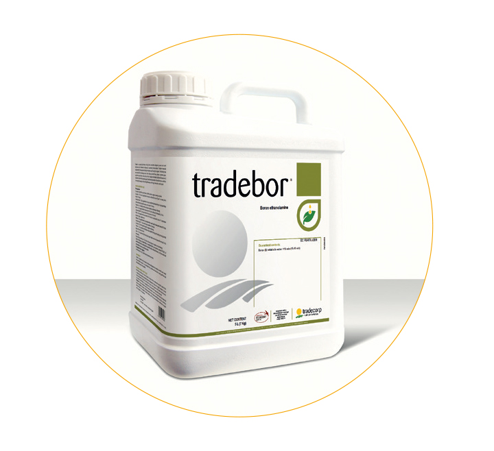 Tradebor® - Profert