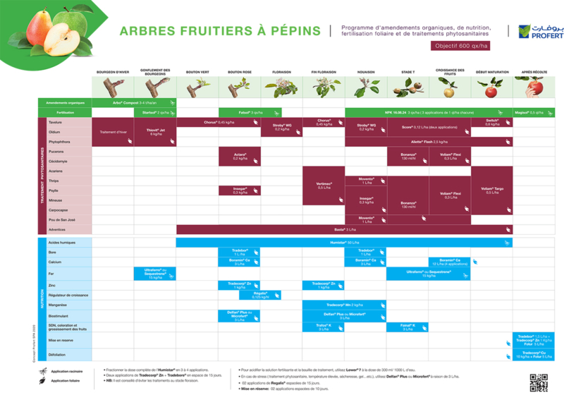 Arbre fruitier à pépins – Profert