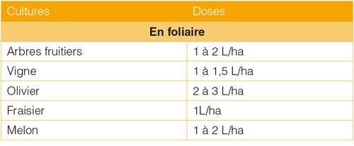 Tradebor® - Profert