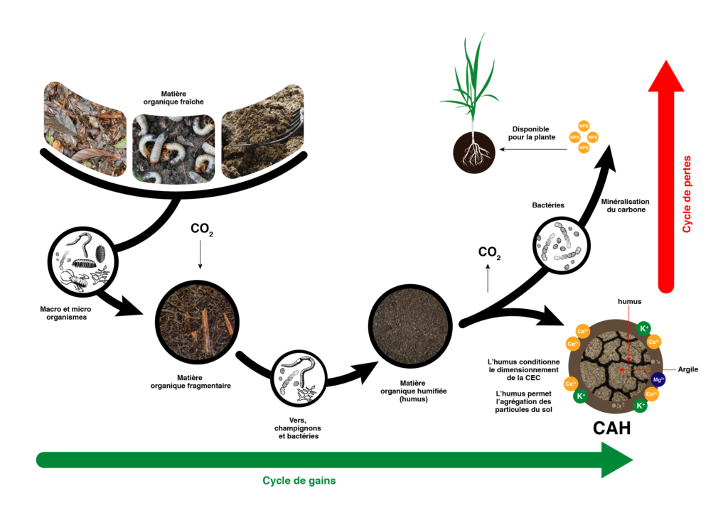 Amendement organique – Profert