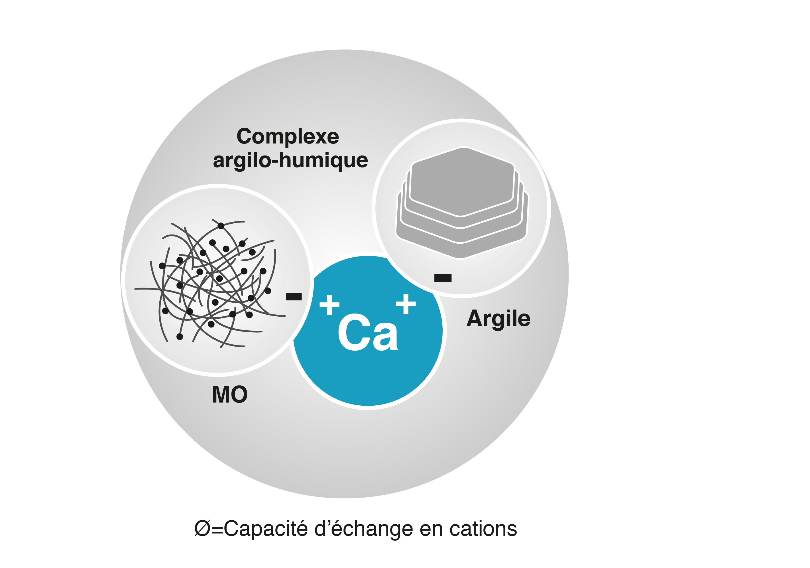 Amendement organique – Profert