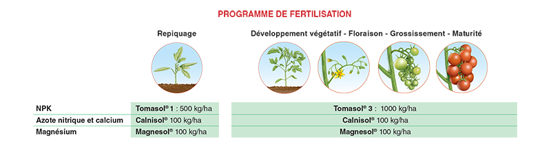 Tomasol® 1 – Profert